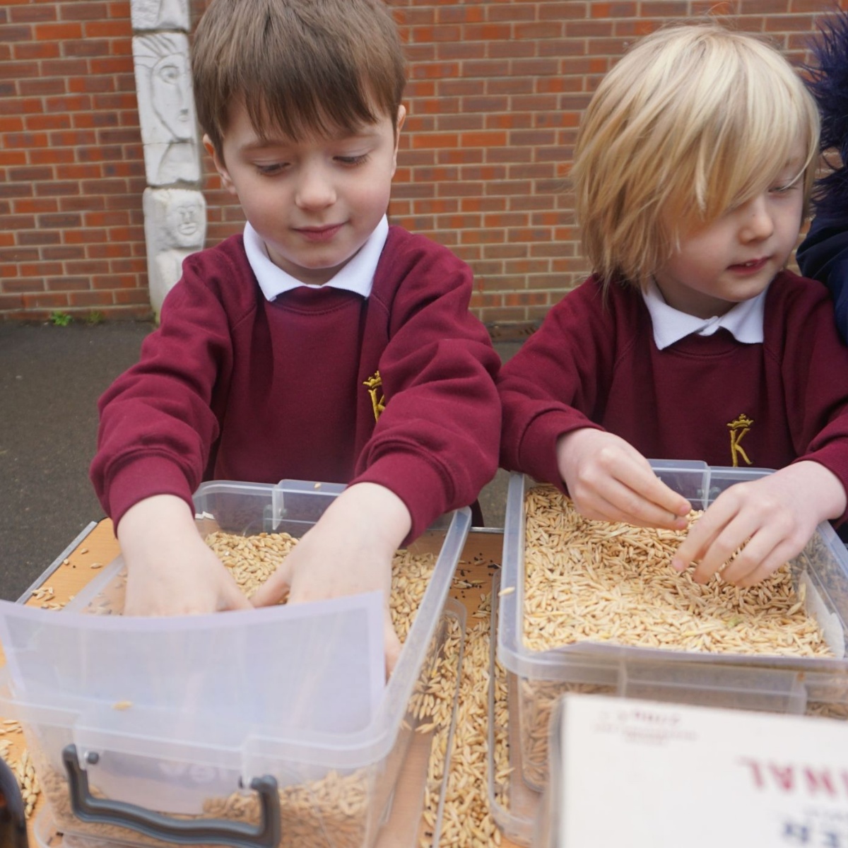 Kingsham Primary School - Farmer Andrew visits Kingsham